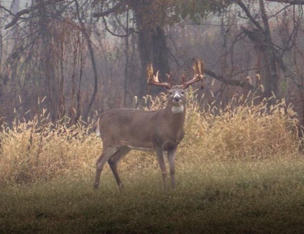 Galleries - Extreme World Class Whitetails of Ohio
