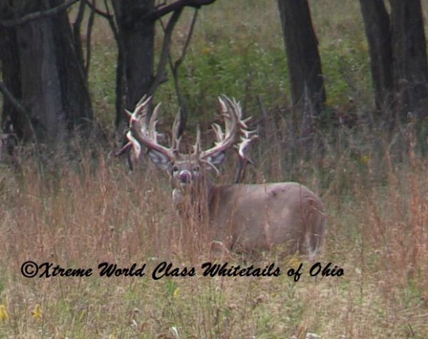 Extreme Whitetail Guided World Record Deer Hunting Ohio - Extreme World ...