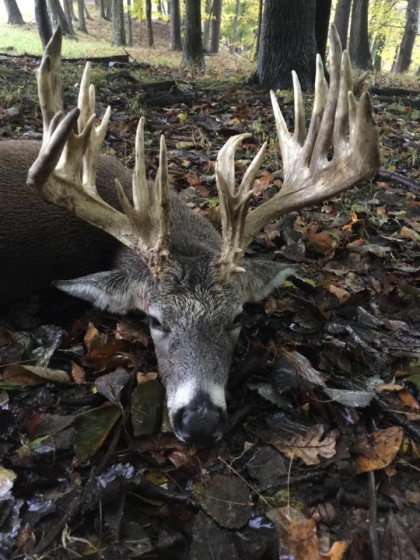 Galleries - Extreme World Class Whitetails of Ohio